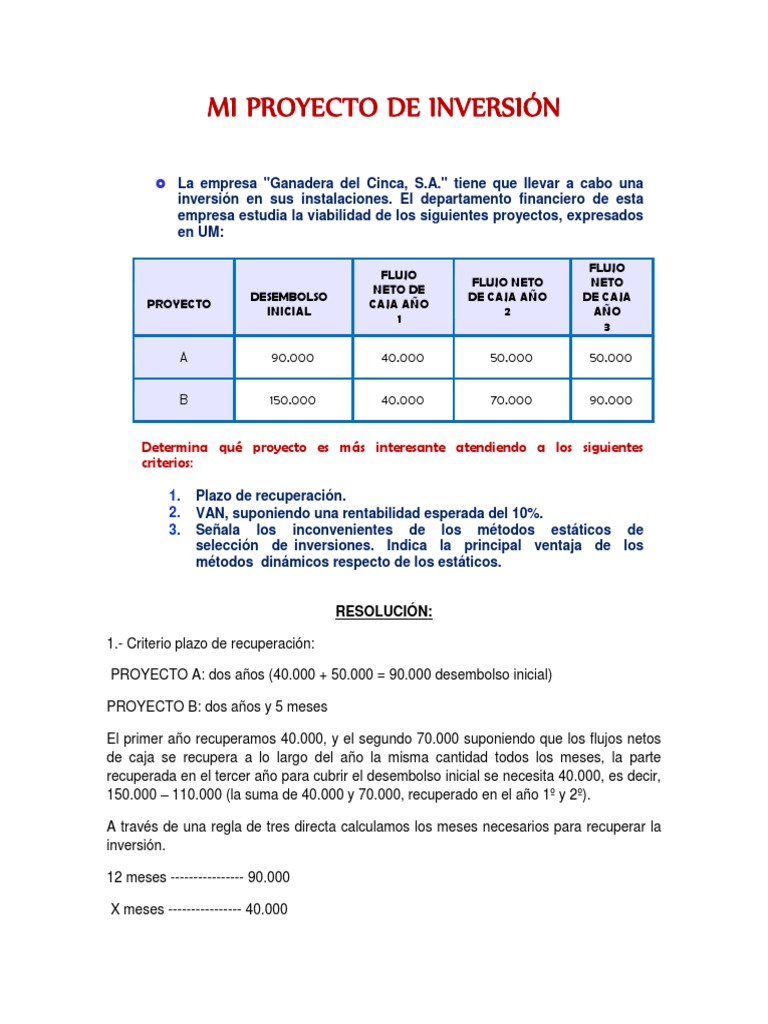 Mi Proyecto de Inversión | PDF