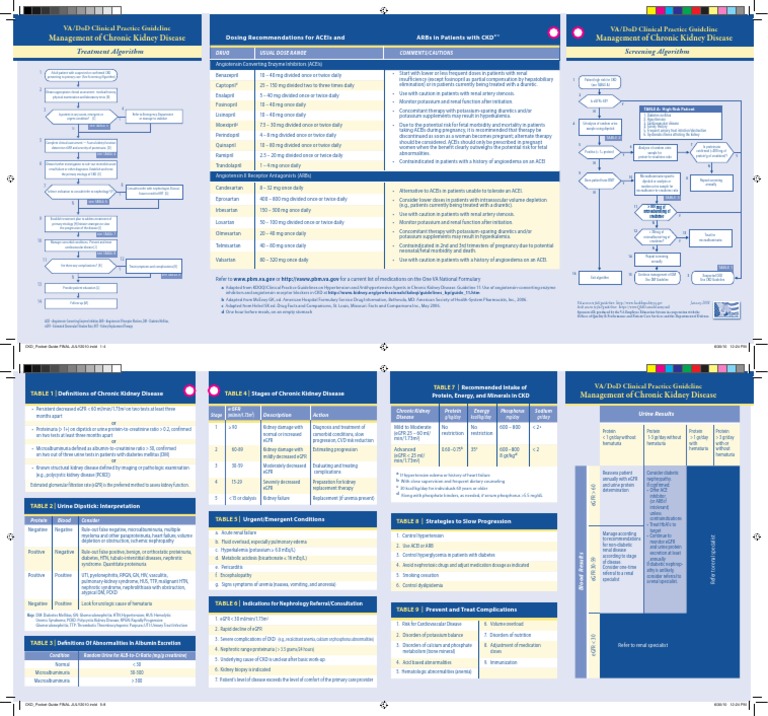 CKD Pocket Guide | PDF | Chronic Kidney Disease | Renal Function