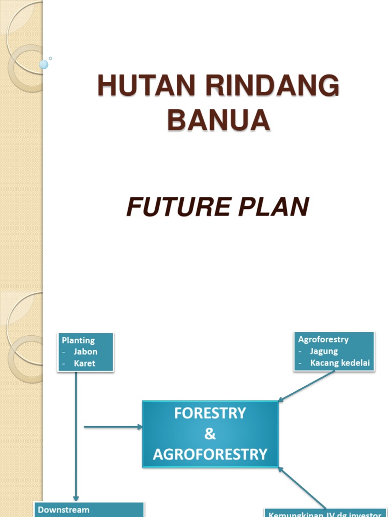 Future Forestry & Agroforestry Plans | PDF