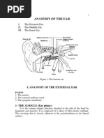 HINTS Exam for Vestibular Assessment | PDF | Vertigo | Vestibular System
