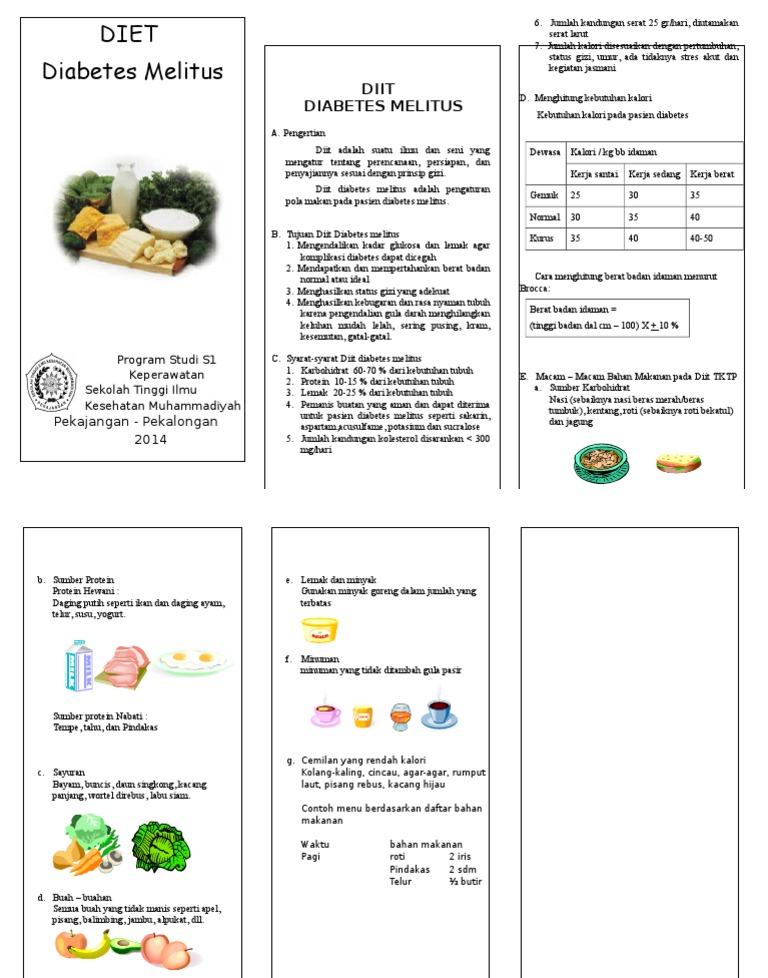 Leaflet Diit DM | PDF