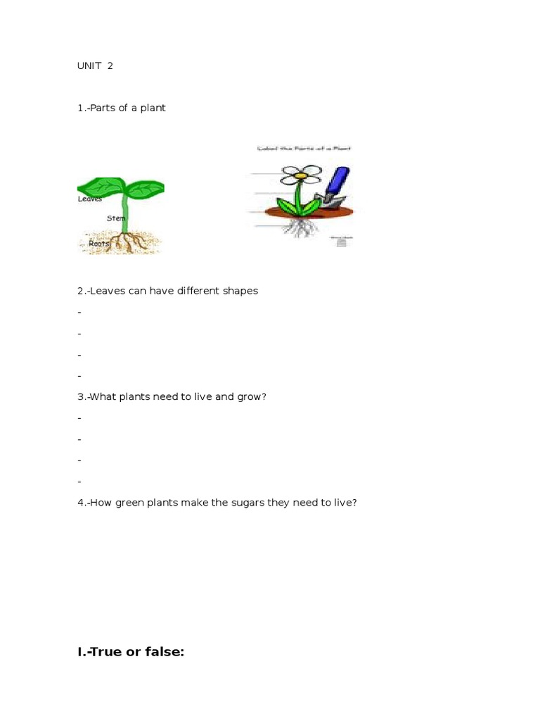 UNIT 2 Plants | PDF