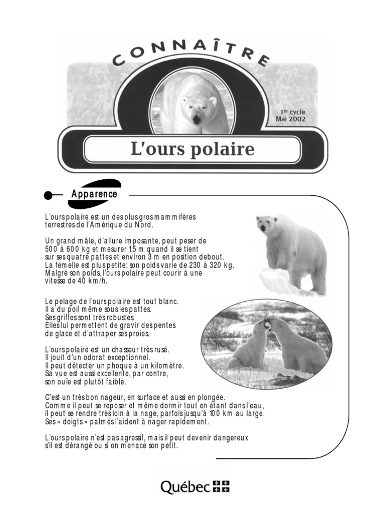 Connaître - L - Ours Polaire PDF | PDF | Ours blanc | Ours