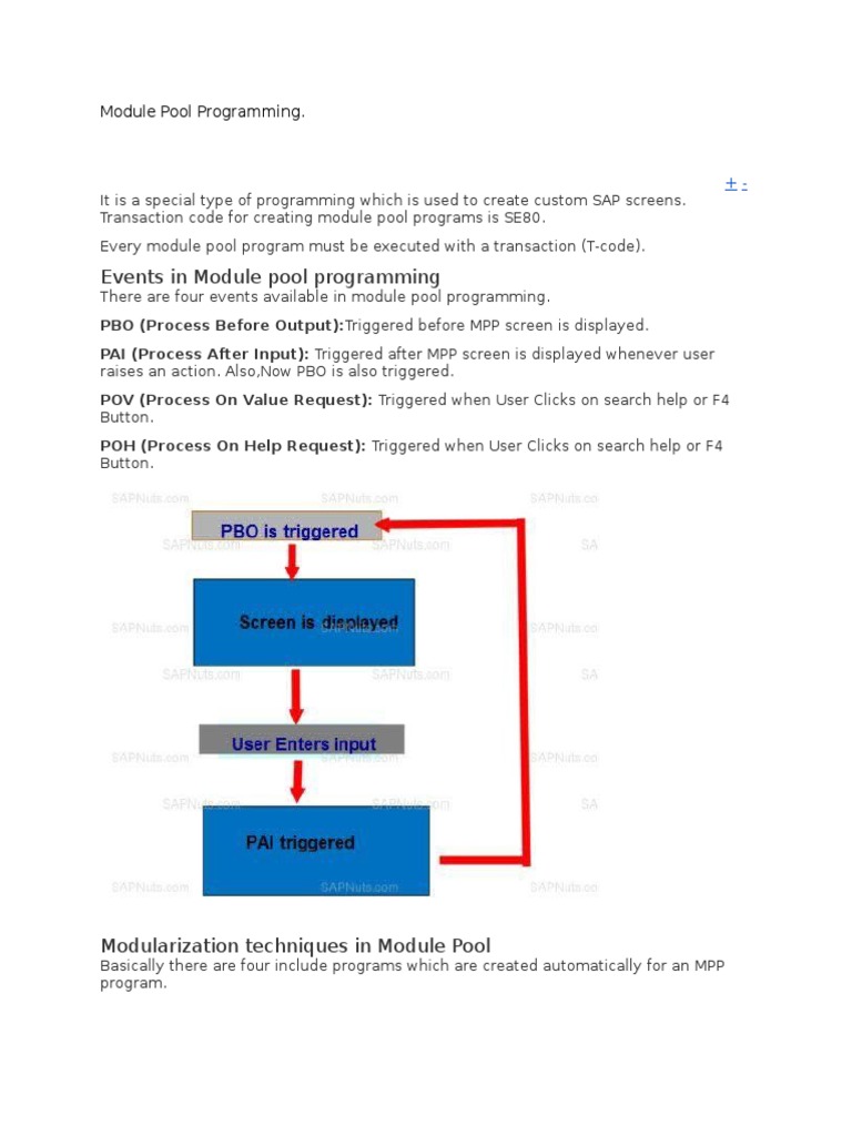 Module Pool Programming | Download Free PDF | Computing | Software