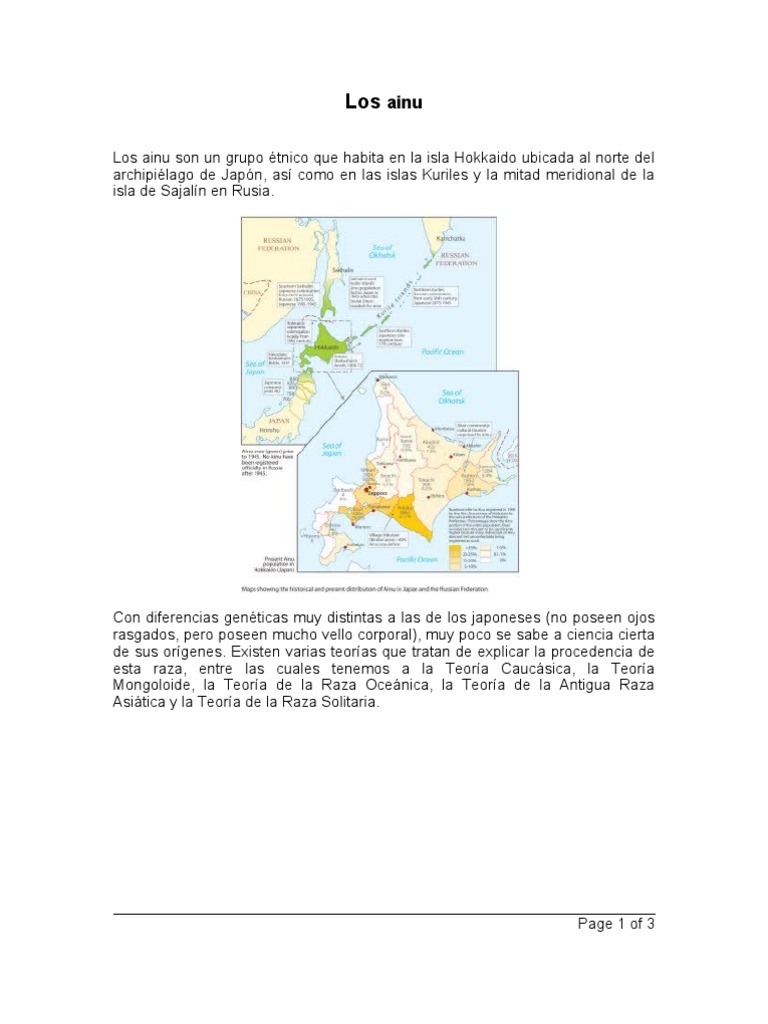 Los Ainu | PDF | Historia