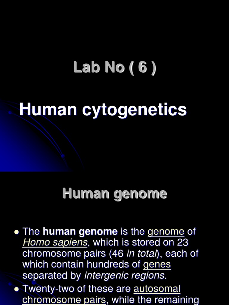 Lab6 Cytogeneticsppt Karyotype Gene 
