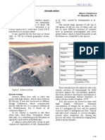 Brine Shrimp Lab | PDF | Experiment