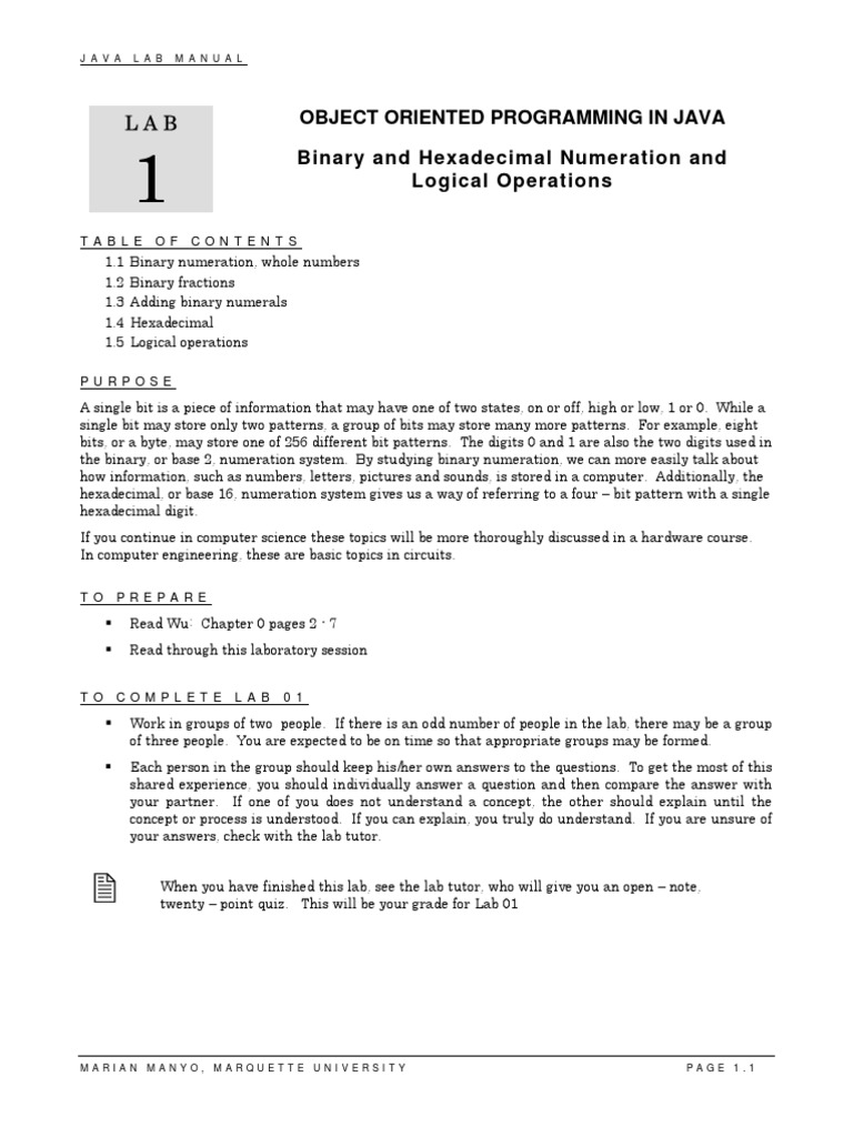 Object Oriented Programming in Java Binary and Hexadecimal Numeration and Logical Operations ...