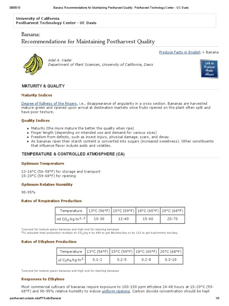 Banana Quality Control Guidelines | PDF | Banana | Postharvest