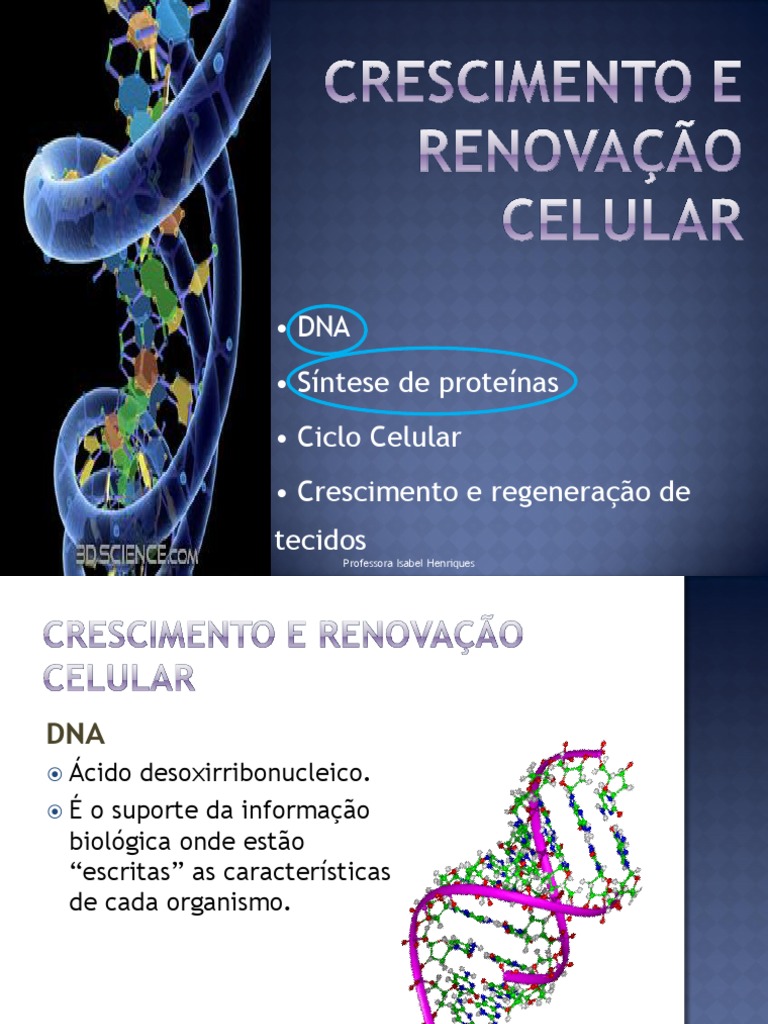DNA e Síntese Proteica PDF | PDF | Código genético | Replicação de DNA