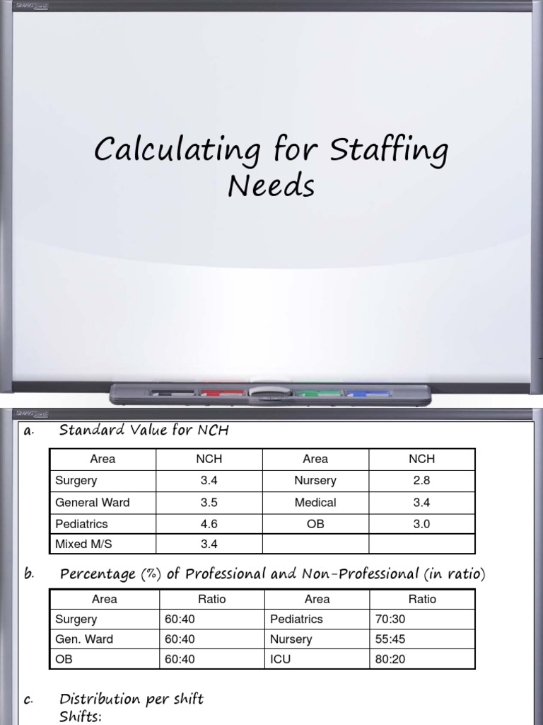Nurse Staffing Calculation Guidelines | PDF