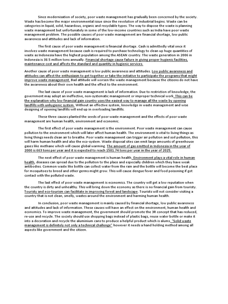 Cause and Effect of Poor Waste Management | PDF | Waste Management | Waste