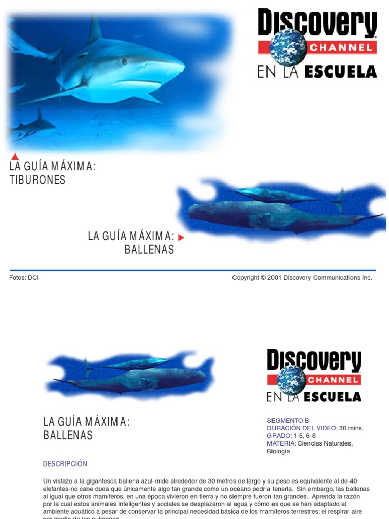 ballenas (guía con respuestas).pdf | Mamíferos | Agua