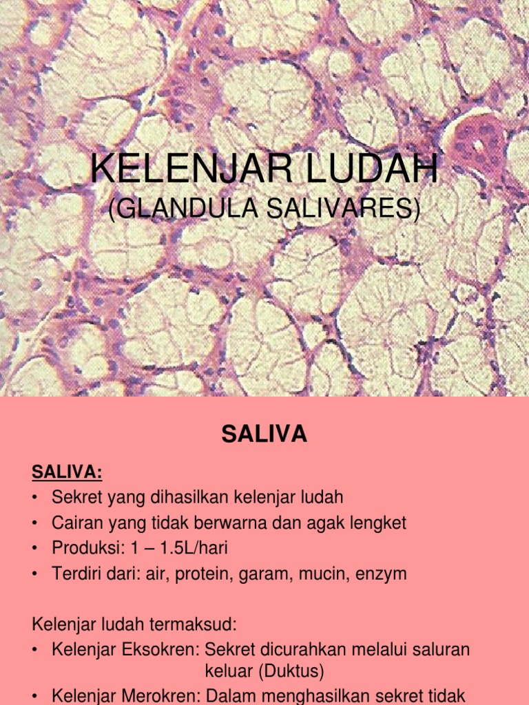 KELENJAR LUDAH Gambar | PDF