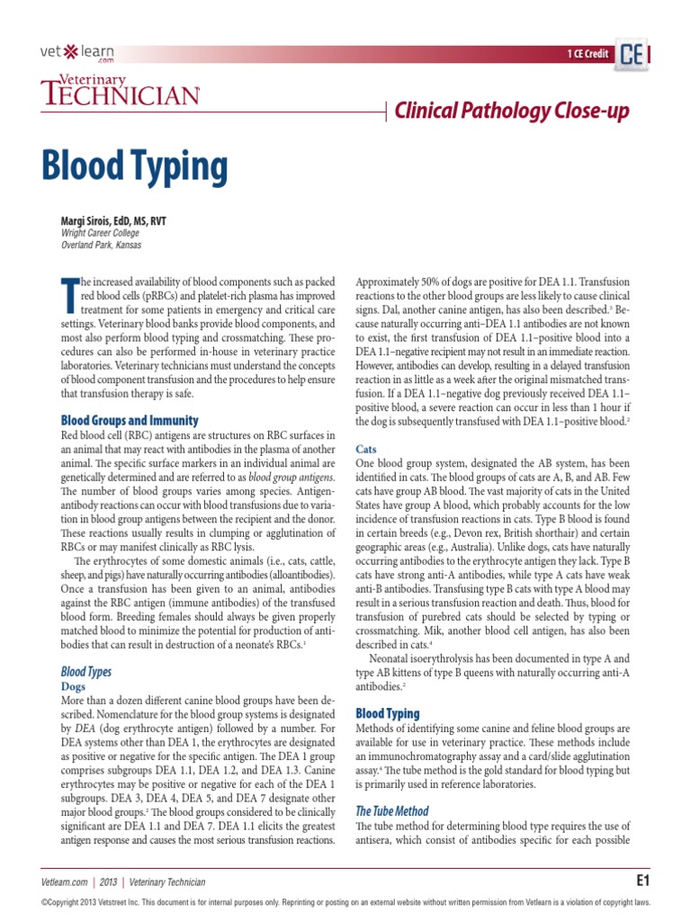 Blood Typing PDF | PDF | Blood Type | Blood Transfusion