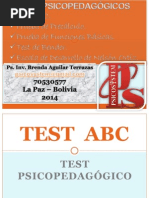 Test ABC Completo | PDF