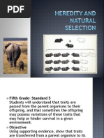 Geniventure Teacher Guide To Challenges | PDF | Dominance (Genetics ...