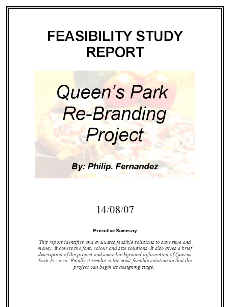 Feasibility Study Report | PDF | Business