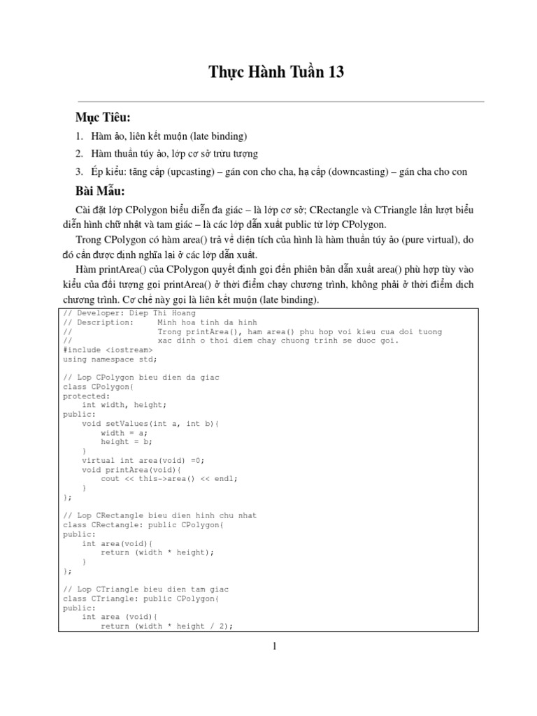 Lab13 Class TinhChat DaHinh | PDF