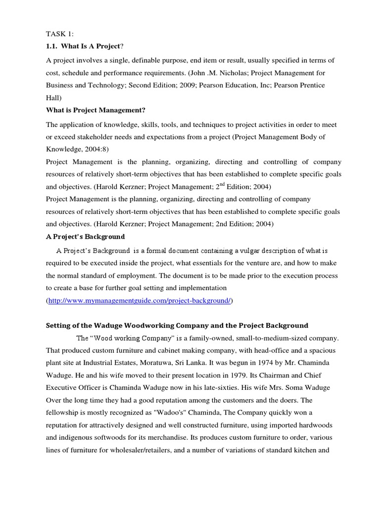 PMB Task 1 | PDF | Project Management | Economies