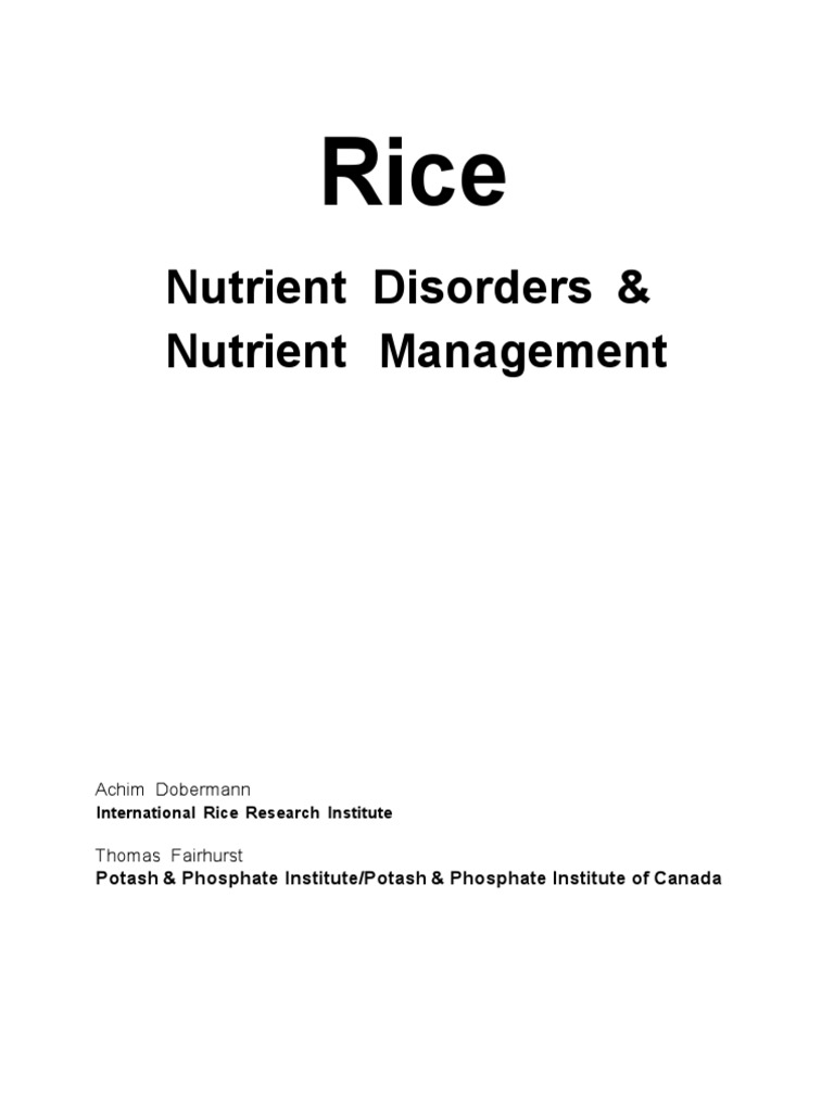 Rice Nutrient Disorders Nutrient Management Volume 1 | PDF | Rice ...