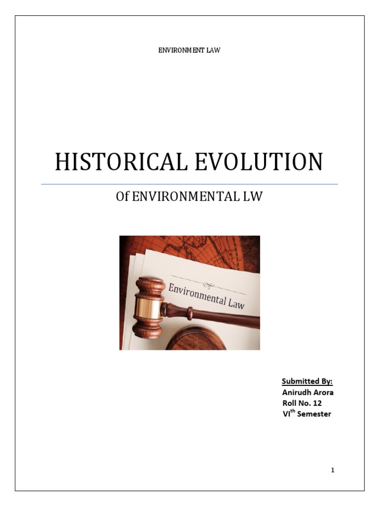 Historical Evolution: of Environmental LW | PDF | International Union ...