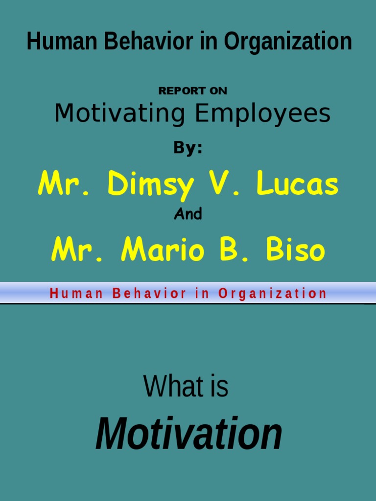 Human Behavior in Organization: Motivating Employees | PDF | Motivation ...