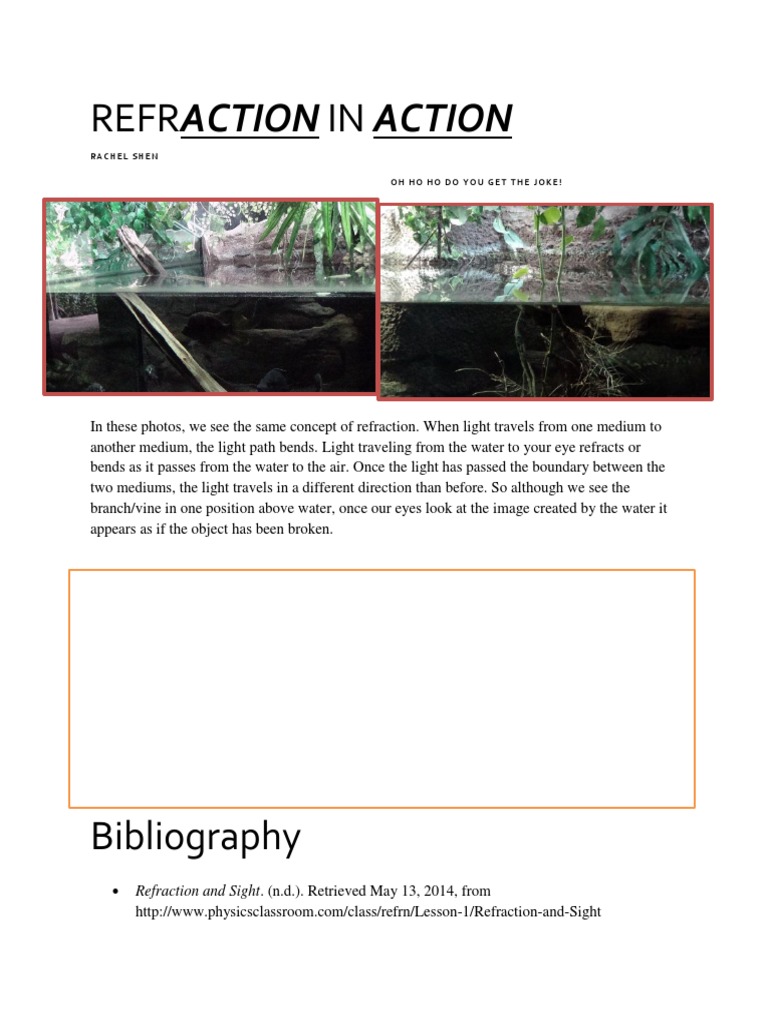 Understanding Light Refraction Effects | PDF | Philosophy