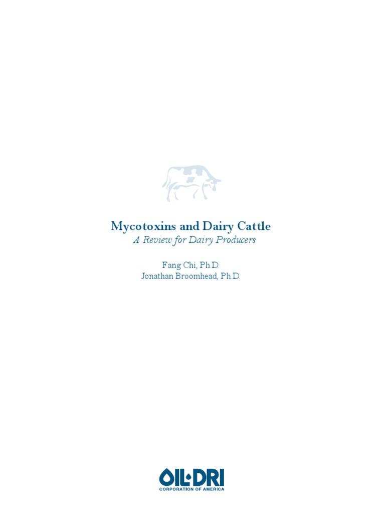 Mycotoxins and Dairy Cattle | PDF | Mycotoxin | Dairy Cattle