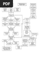Pathophysiology of UTI