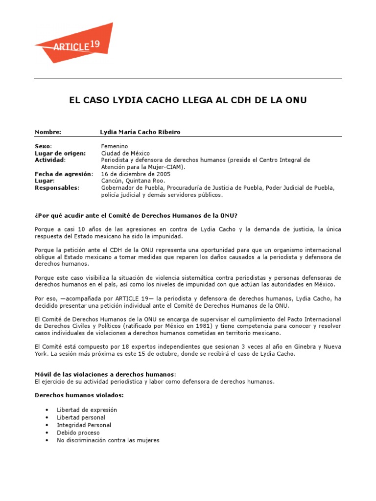 Resumen Ejecutivo Sobre Violaciones en El Caso de Lydia Cacho | PDF | Naciones Unidas ...
