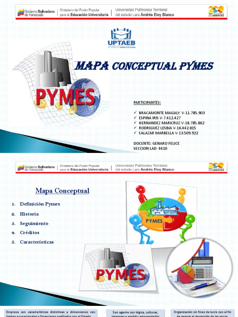 Mapa Conceptual de PYMES | PDF | Pequeñas y medianas empresas | Mercado ...