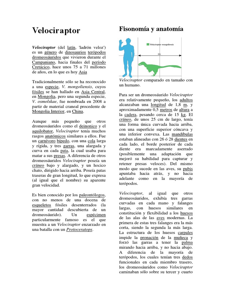 Raptor | PDF | Dinosaurios | Naturaleza