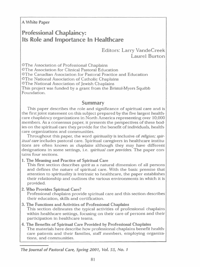 Professional Chaplaincy Its Role and Importance in | PDF | Chaplain ...