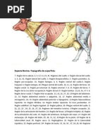 Reflejo de Flehmen en Animales | PDF | Biología