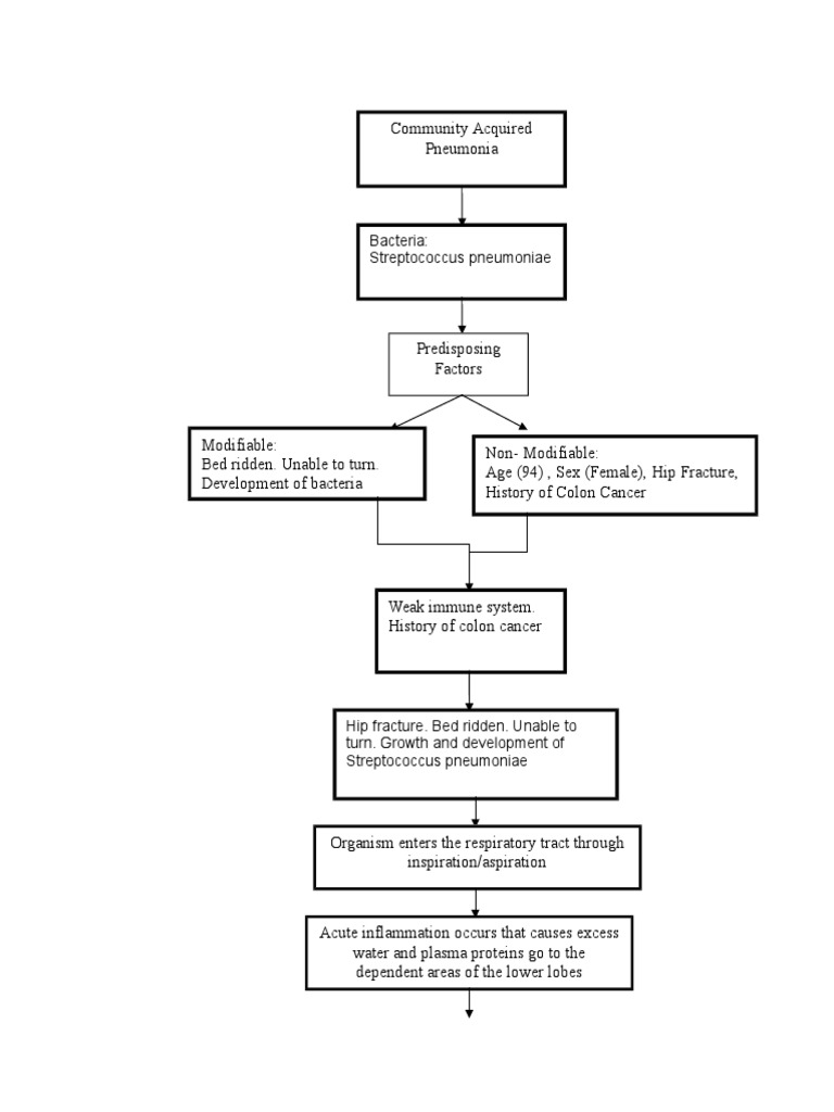 Pathophysiology of Pneumonia | Pneumonia | Cough