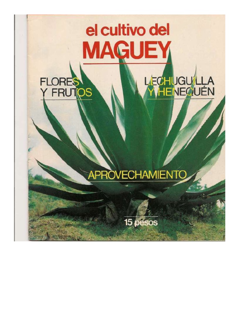 El Cultivo del MAGUEY.pdf