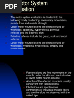 mmt8 Grading and Testing Procedures For The Abbreviated 8 Muscle Groups ...