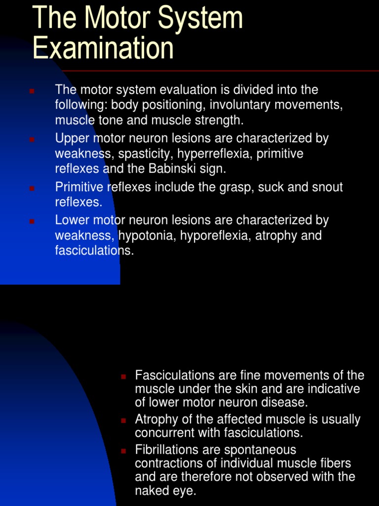 A Comprehensive Guide to the Motor System Examination: Evaluating Body ...