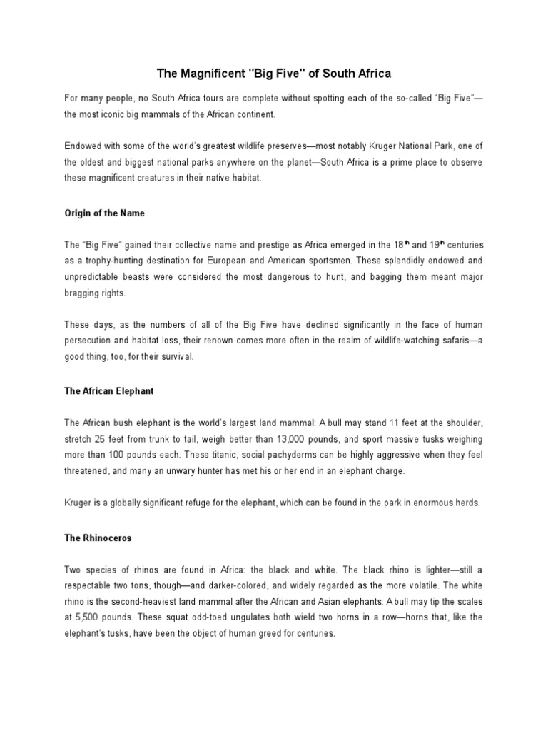 The Magnificent "Big Five" of South Africa | PDF | Lion | Rhinoceros