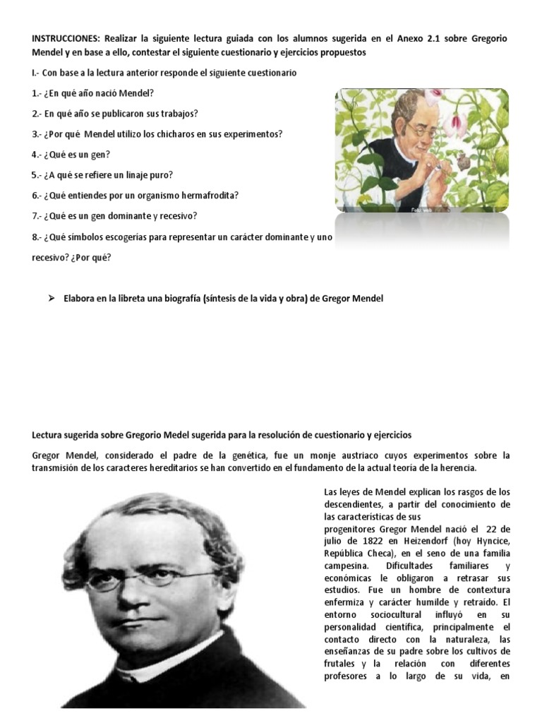 Aportaciones de Gregor Mendel a la genética | PDF | Dominancia ...
