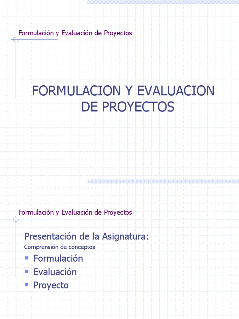Formulación y Evaluación de Proyectos 1 A | PDF | Toma de decisiones | Ciencias económicas
