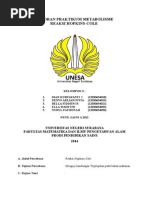 Uji Ninhidrin pada Asam Amino | PDF