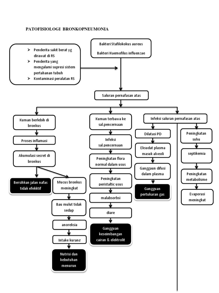 Pathway Bronkopneumonia | PDF
