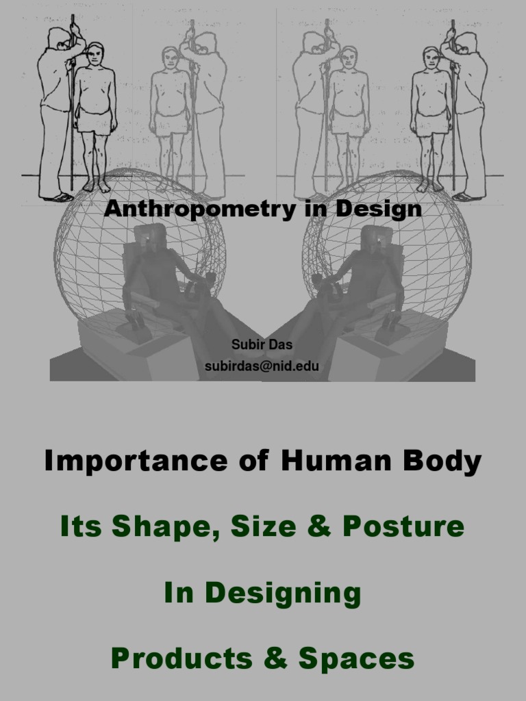Anthropometry in Design | PDF | Vertebral Column | Spinal Cord