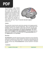 Frontal Assessment Battery | PDF | Psychology | Neuroscience