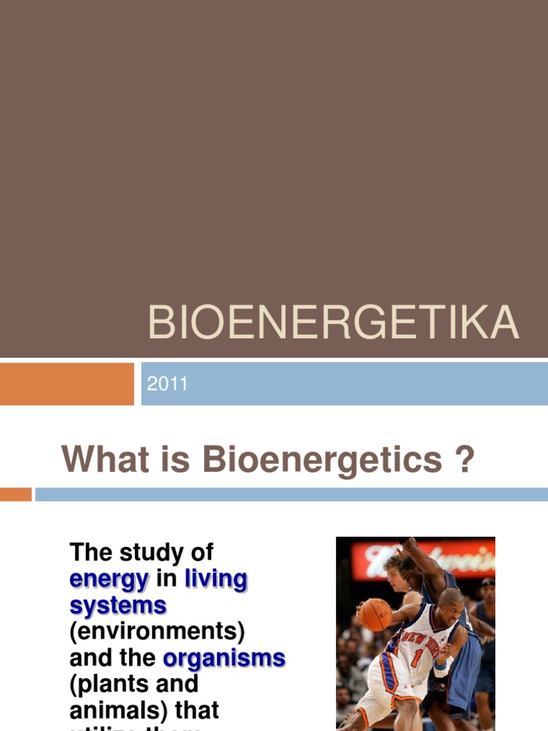 BIOENERGETIKA | Download Free PDF | Adenosine Triphosphate | Metabolic Pathway