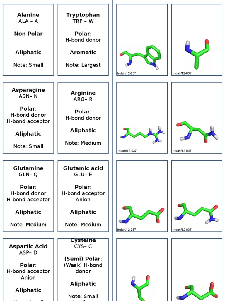 Amino Acids: Properties and Types | PDF | Cooking, Food & Wine