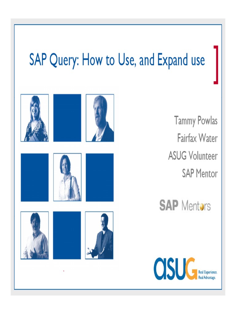 Sap Query | PDF | Databases | Use Case