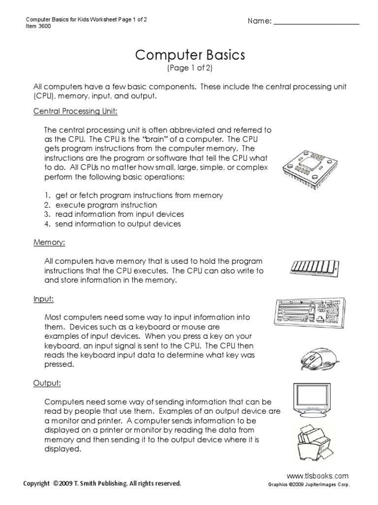 Computer Basics | PDF | Input/Output | Central Processing Unit